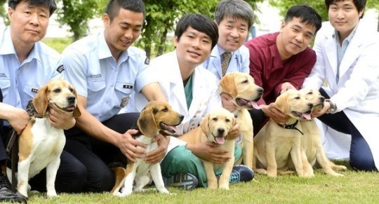 Cloned Dog: Unethical Issue or Means of Overcoming Pet Loss